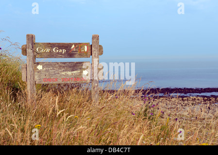 Birling Gap, between the Seven Sisters cliffs (background) and Beachy ...