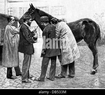 Pierre Paul Emile Roux (1853-1933), French physician, bacteriologist ...