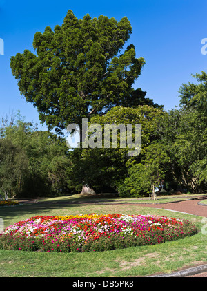 The Auckland Domain, New Zealand Stock Photo - Alamy