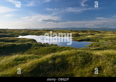 Dune slack pool and coastal dune system at Kenfig Nature Reserve Stock ...