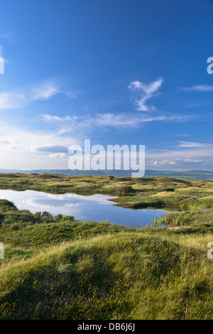 Dune slack pool and coastal dune system at Kenfig Nature Reserve Stock ...