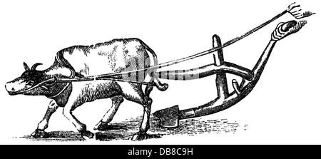 Ancient Roman plow Stock Photo - Alamy