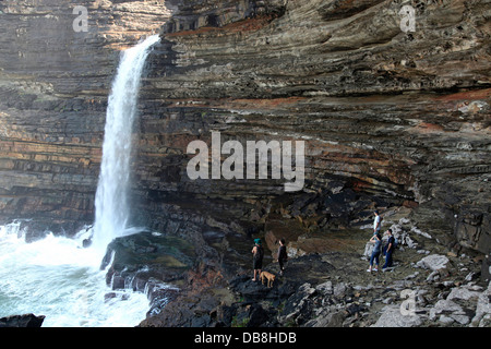 Waterfall Bluff near Mbotyi on the Wild Coast, Transkei Stock Photo - Alamy