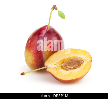 plums plums plums plum cut leaves fruit fruit fruit cut-out isolated ...