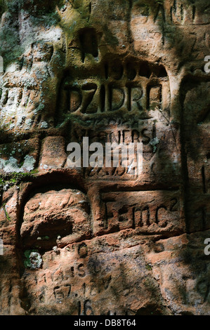 Sandstone cliffs in Gauja national park, Latvia Stock Photo - Alamy