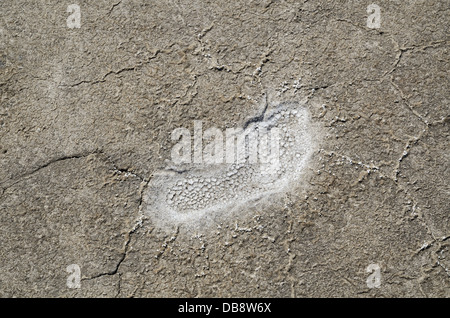 Salt footprint on the cracked earth Stock Photo - Alamy