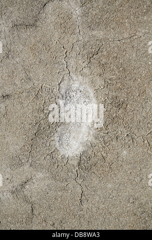 Salt footprint on the dry cracked land Stock Photo - Alamy