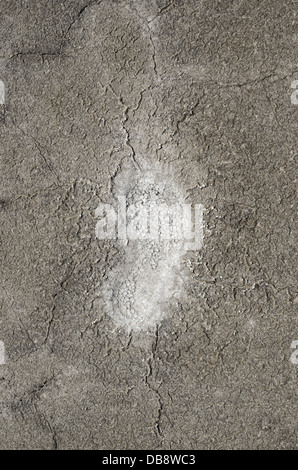 Salt footprint on the cracked earth Stock Photo - Alamy