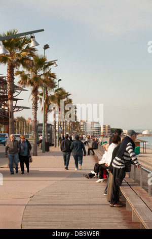 Palm tree promenade at La Pineda Stock Photo - Alamy