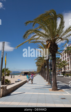 Palm Tree lined walking path promenade in park on the coast at Santa ...