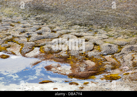 Frost polygons of patterned ground high above Wright Valley McMurdo Dry ...