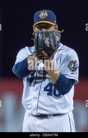 Quad Cities River Bandits pitcher Josh Hansell (24) during an MiLB ...