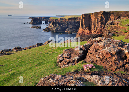 Eshaness Cliffs, Shetland Stock Photo - Alamy