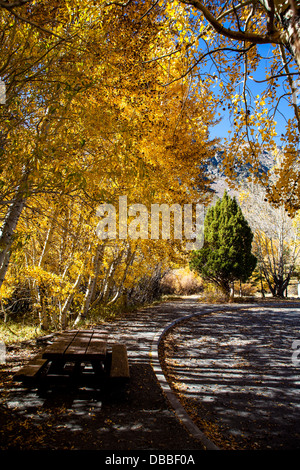 A circular picnic table in the snow in Alaska Stock Photo - Alamy