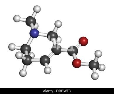 Arecoline areca nut stimulant compound, chemical structure. Skeletal ...