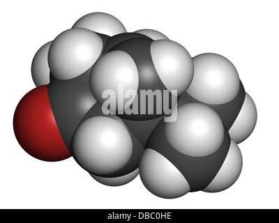 Thujone (alfa) absinthe molecule, chemical structure. Atoms are ...