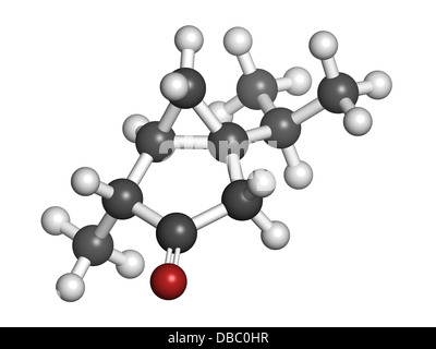 Thujone (alfa) absinthe molecule, chemical structure. Atoms are ...