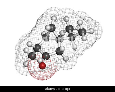 Thujone (alfa) absinthe molecule, chemical structure. Atoms are ...