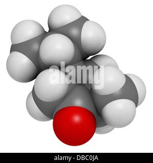 Thujone (alfa) absinthe molecule, chemical structure. Atoms are ...