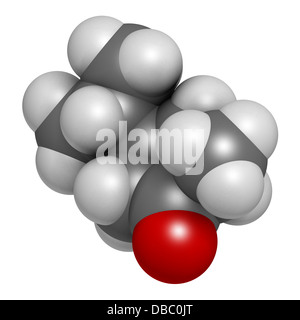 Thujone absinthe molecule, chemical structure. Skeletal formula Stock ...
