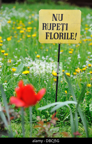 Keep Off The Flower Beds sign on composting bin in Barkston Gardens ...