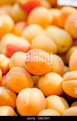 fresh orange red apricots peaches macro closeup on market summer Stock ...