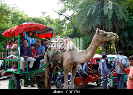 Indian family enjoying a camel ride in the white desert, a seasonal ...