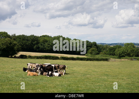 East Harptree a village in Somerset England UK Waldegrave Arms Pub ...