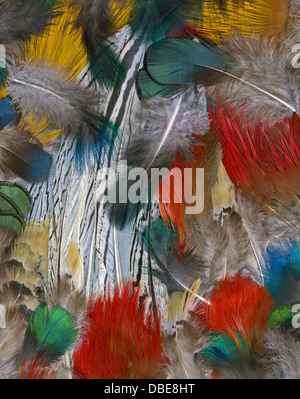 Frame of multi-colored light feathers on a white background. Background ...