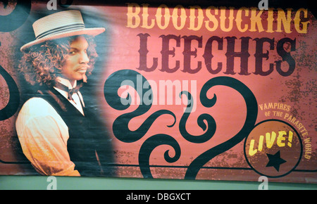 Poster about leeches displayed at the Science Museum of Western ...