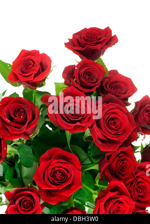 Big Red Roses Bouquet over white Stock Photo - Alamy