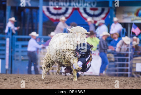 A boy riding on a sheep during a Mutton Busting contest at the Clark ...