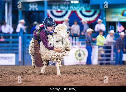 A boy riding on a sheep during a Mutton Busting contest at the Clark ...