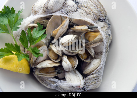 Steamed Rhode Island clams Stock Photo - Alamy