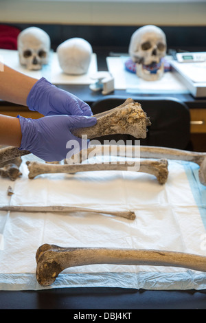 Forensic Science in Lab. Forensic Scientist examining handcuff for ...