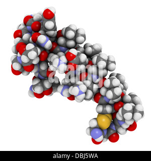 Calcitonin peptide hormone drug, chemical structure. Used in treatment ...