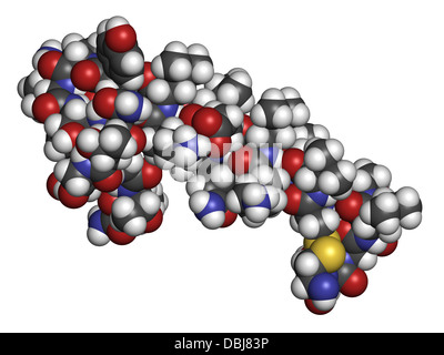 Salmon calcitonin peptide hormone drug, chemical structure. Used in ...