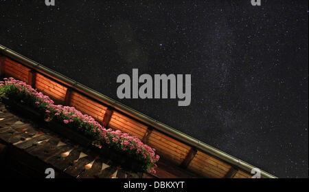 Potted geraniums bloom in front of a starry night sky on the balcony of ...