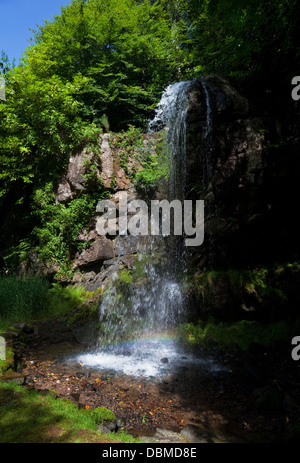 Waterfall, Kilfane Glen, Co Kilkenny, Ireland Stock Photo - Alamy