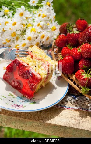 jaffa cake with strawberries and red gelatin Stock Photo - Alamy