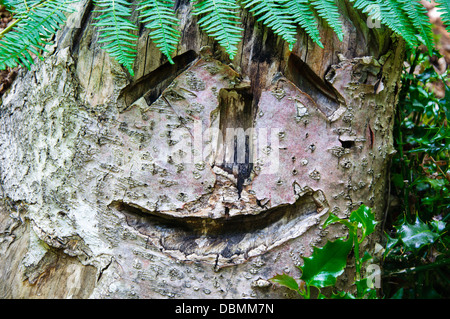 Smiley Face Carved in Wood Stock Photo - Alamy