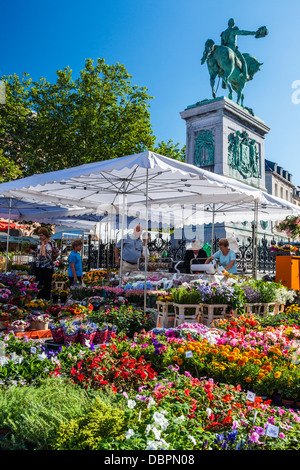Grand-Duke Guillaume of Luxembourg and King Philippe - Filip of Belgium ...