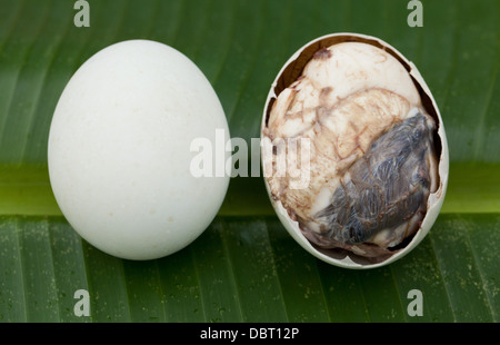 A partially open balut, or fertilized duck egg, pictured alongside a ...