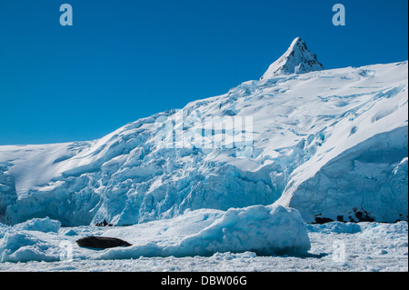 Iceberg in Cierva Cove, Antarctica Stock Photo - Alamy