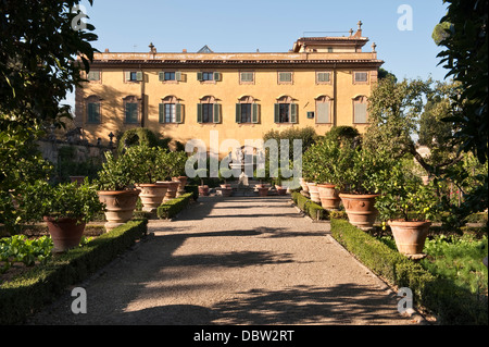 The Lemon Trees in Tuscany, Italy Stock Photo - Alamy