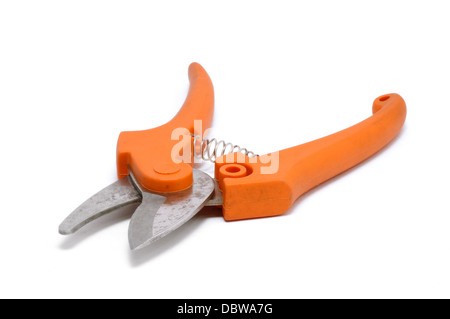 Garden secateurs. Pruning Shears isolated on white background Stock Photo - Alamy