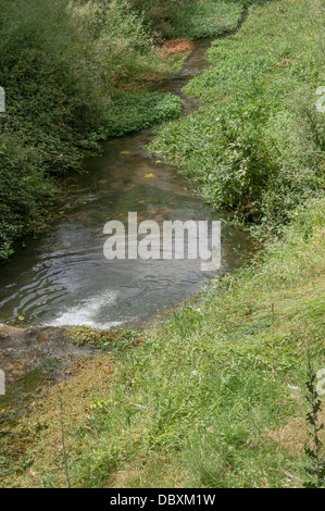 The Genil River Stock Photo - Alamy