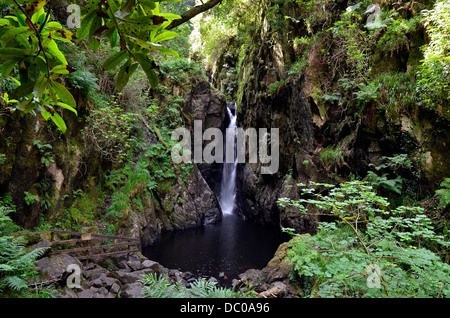 Stanley Ghyll Force near Dalegarth, Eskdale, Lake District, a sixty ...