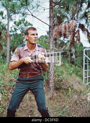 1967 GENTLE GIANT MOVIE BASED ON GENTLE BEN TV SERIES DENNIS WEAVER ...