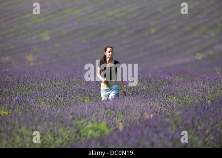 PICKING LAVENDER AT CADWELL FARM HITCHIN,HERTFORDSHIRE Stock Photo - Alamy